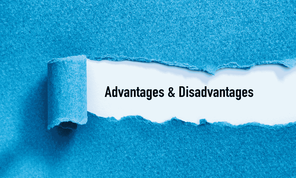 Advantage and Disadvantages of Owning a Business - suscc.com
